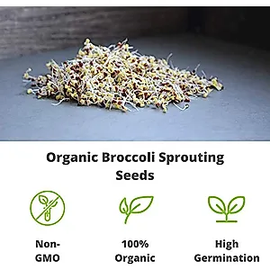 Organic Broccoli Sprouting Seeds By Handy Pantry | 1 Pound Resealable Bag| | Non-GMO Broccoli Sprouts Seeds, Contain Sulforaphane