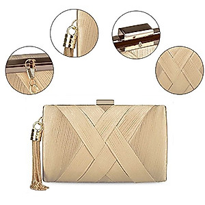 LIFEWISH Tassel Evening Bags Clutch Purses for Women for Wedding Prom Night out Party