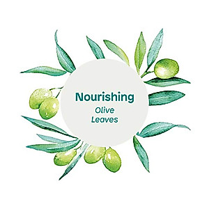 ATTITUDE Nourishing Body Wash, for Dry & Sensitive Skin, EWG Verified, Hypoallergenic, Vegan, Cruelty Free, Olive Leaves, 16 Fl Oz (11293)