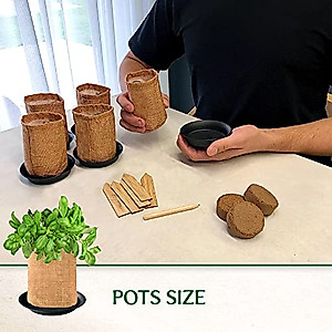 Medicinal Herbs Starter Kit - Non GMO, Heirloom Seeds - Basil, Parsley, Cilantro (Coriander), Oregano, Dill - Includes Pots, Soil, Bamboo Plant Markers - Gardening Gift