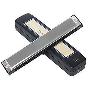 WAAZVXS Harmonica 24 Holes Key C Musical Instruments for Beginner (Color : Key C)