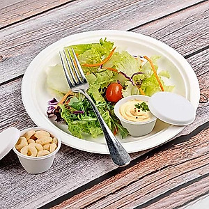 KTOB 100% Compostable 100 Sets 2 oz. Sugarcane Containers with Lids,Condiment Jello Shot Cups,Eco Friendly Dipping Sauce and Salad Dressing Container,Disposable Mini Plastic Portion Souffle Cups