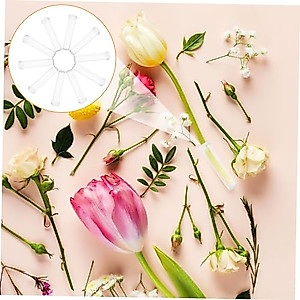 COHEALI 600 pcs Tube Florist Supplies Single Rose Sleeve Water vials for Flowers Flower Holder Flower Arrangements Vial hydroponic Flower stem Water Glass vases Small Rack Bracket 100pcs