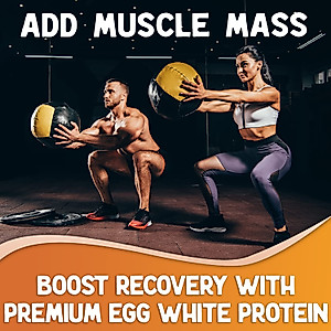 XPRS Nutra Egg White Protein Powder - Bulk Powdered Egg White Unflavored Protein Powder - 100% Egg Whites Powdered Eggs - Premium Meringue Powder Used for Egg White Powder Baking (1 Pound)