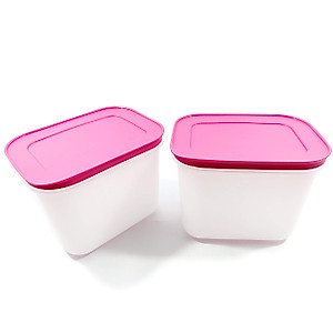 Tupperware Freezer Mate Plastic Container for Fridge and Freezer, 1.1 LTR (Set of 2) with Free Handkerchief