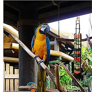 alfyng 2pc Bird Parrot Fruit Basket and Wooden Bird Perch Stand, Bird Food Holder, Parrot Hanging Metal Birdcage Vegetable Fruit Treat Feeder, Foraging Feeding Tool for Medium Large Parrot