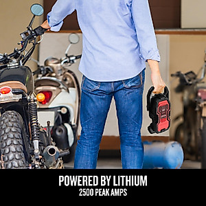 CRAFTSMAN 3-in-1 Lithium Jump Starter and Portable Power Pack, CMXCESM262 2500 Peak Amps, 12 Volts, 10.0L Gas, 8.0L Diesel Engines, for Motorcycles, Cars, SUV, Truck, and Boat Batteries