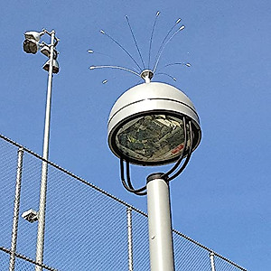 Bird B Gone MMBS200 Bird Spider Repellant , 2-Feet