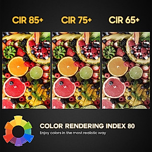 Seentech Ultra Durable 22002263 10W 120V Light Bulb - Perfect Replacement for Whirlpool, Kenmore, KitchenAid – Compatible with WP22002263, 3406124, 4344740, PS11739347, AP6006279 – Pack of 2