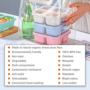 Bento Box For Kids, 4 Pack 3 Compartments Meal Prep Containers Reusable Lunch Containers, Food Storage Containers With Lids, Stackable Snack Boxes for School, Work, and Travel