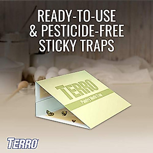 TERRO T2900 2-Pack Pantry Moth Traps - Traps grain moths, flour moths, meal moths, and seed moths