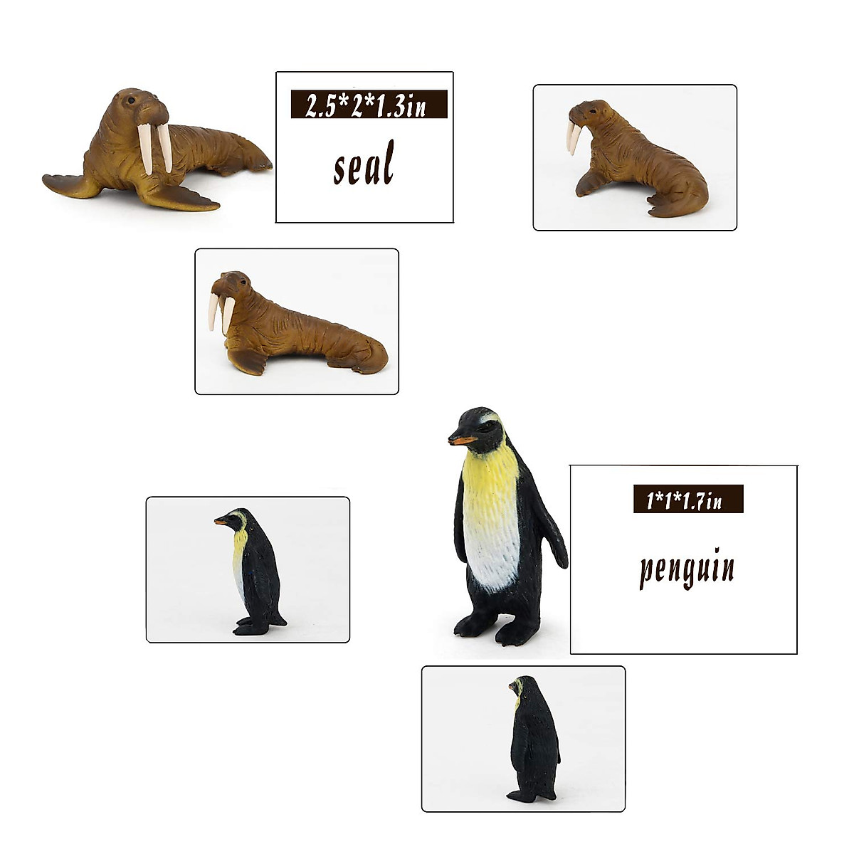 Fun Gift Sea Animal Toy Set,12 pcs Animal Sea Figures Ocean Toy for Kids, Realistic Set for Sea Lovers, Includes Great White Shark, Dolphin, White Shark, Whale for Age 3+