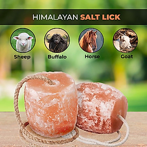 Himalayan Salt Lick 4-5 lbs | Pack of 4 | Salt Lick Deer | Licking Salt for Horses |Himalayan Licking Salt for Animals | Deer Salt Lick Block | Block Salt on Rope.