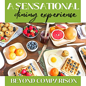 Shy Leaf Disposable Bamboo Plates (60 PLATES) + 120 Piece Wooden Cutlery Set - 8 inch & 10 inch Palm Leaf Plates - Party Plates - 100% Biodegradable & Eco Friendly Compostable Plate Set