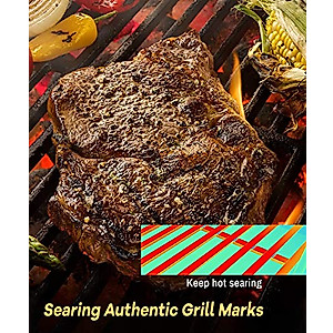 X Home 7638 Grill Grates Replacement for Weber Spirit 300 Series, E-310 E-330, Genesis Silver/Gold B & C Grill Replacement Parts, Cast Iron, 17.5 x 11.9 Inch, 2-Pack