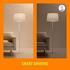 WiZ Connected 2-Pack Color 60W A19 Smart WiFi Light Bulb, 16 Million Colors, Compatible with Alexa and Google Home Assistant, No Hub Required, 2 Bulbs