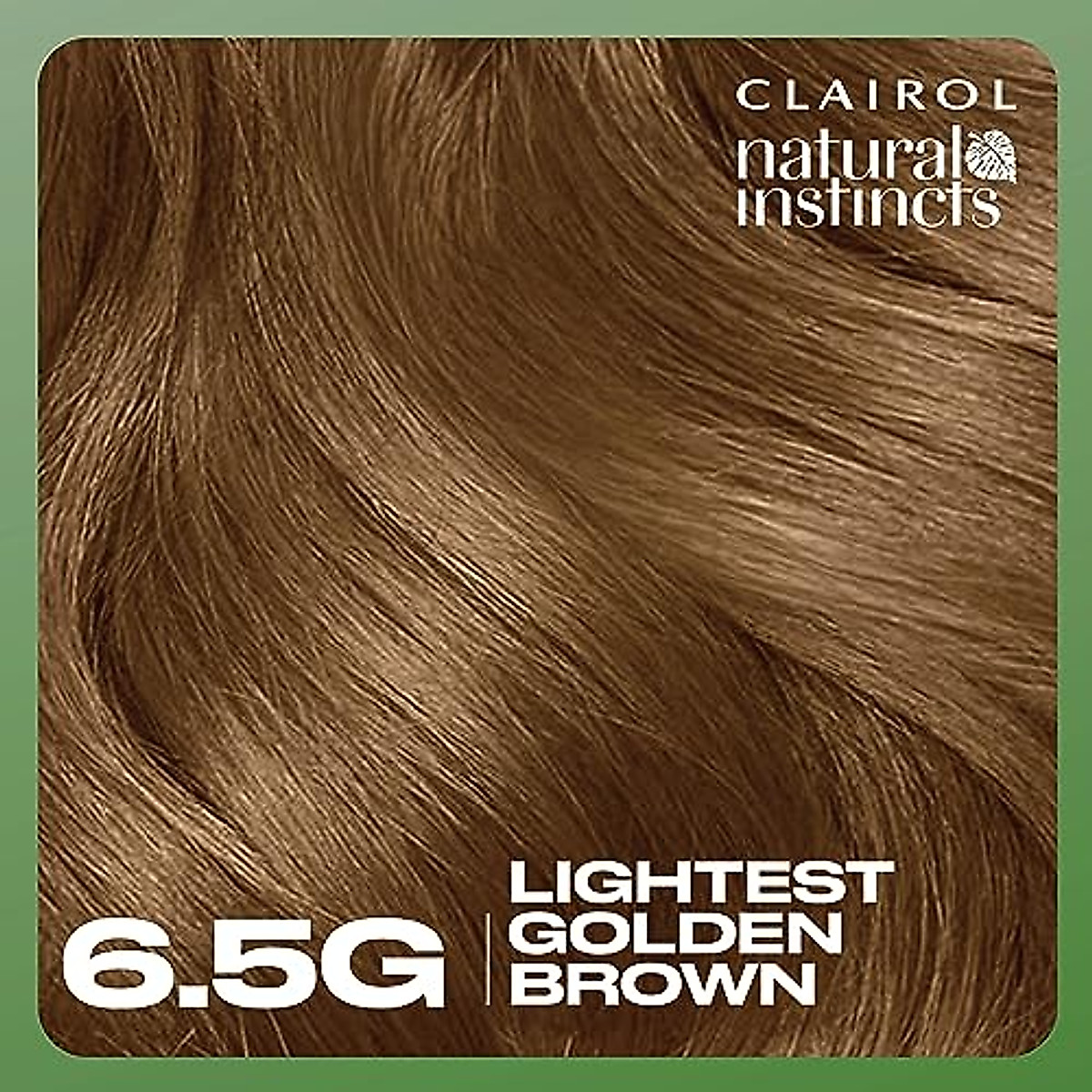 Clairol Natural Instincts Demi-Permanent Hair Dye, 6.5G Lightest Golden Brown Hair Color, Pack of 3