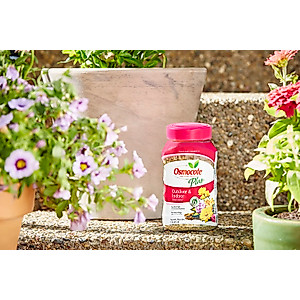 Osmocote Smart-Release Plant Food Plus Outdoor & Indoor, 1 lb.