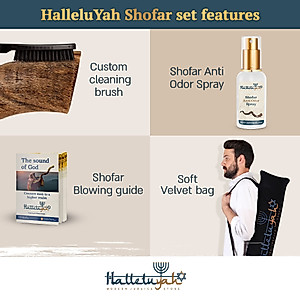 Shofar with"Lion of Judah" Decoration | 925 sterling silver & 9K Gold Plated Kudu Horn Shofar 20"-24" From Israel | Curved Combo Yemenite Shofar Horn – Made in Israel by HalleluYAH Artists