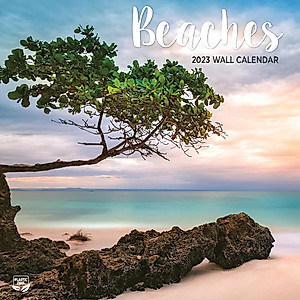 TURNER PHOTOGRAPHIC Beaches 12X12 Photo Wall Calendar (23998940007)