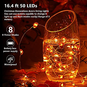 Mudder Acorn Valentine's Day Heart String Lights Decor 16.4FT 50 LEDs Heart Fairy Light Battery and USB Powered with Remote for Indoor Outdoor Wedding Party(Acorn,White)