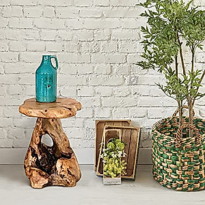 Warmaxx Natural Irregular Shape Tree Stump End Table Plant Stand, 14"x13"x18"H Solid Cedar Wood Outdoor Rustic Sit Foot Stools Live Edge Coffee Side Table for Living Room Bedroom Bath Outdoor Garden