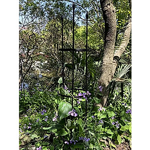 Black Plant Trellis Garden Trellis Clinging Roses Trellis Plant Cage Climbing Flower Support with Coating to Decorate Your Garden 2 Packs