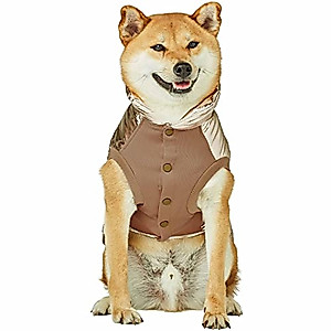 Blueberry Pet 2023 New Cozy & Comfy Windproof Lightweight Quilted Fall Winter Glossy Dog Puffer Jacket in Gold, Back Length 24", Size 22, Warm Coat for Large Dogs