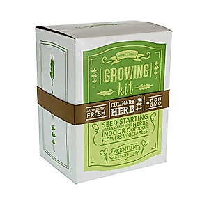 Culinary Indoor Herb Garden Starter Kit | Basic Herb Seeds | 6 Non-GMO Varieties | Grow Cooking Herbs & Spices | Seeds: Basil, Dill, Parsley, Chives, Mustard, Oregano