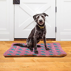 Coikll Alien Pizza Pet Bed Pad Soft Dog Bed Mat with Anti-Slip Bottom, Machine Washable Crate Pad Mattress for Dog Sleeping- 36 * 24inches