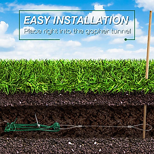 Qualirey 8 Pcs Gopher Trap with Chain Mole Trap Green Stainless Steel Weather Resistant Gopher Trap Gopher Killer Vole Trap for Lawn Garden Farm Outdoor