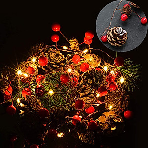 TOPIST Christmas Pinecone Lights Battery or USB Plug in, 6.7FT 20LED Red Berry with Pine Cone Christmas Garland Lights LED String Lights Fairy Lights for Xmas Tree Party Home Holiday Decor