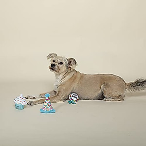 Fringe Studio Plush Dog Toy Set, Happy BARK-Day!, 3 Piece Set, for Small Dogs (289525)