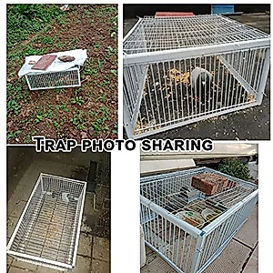 Pigeon Loft Door Pigeon Entrance Door Trap Door Pigeon House Door Racing Supplies Pet Bird Supply Product Bird cage Door (60cm/24in)