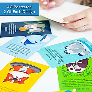 T MARIE 40 Animal Fun Fact Postcards - Bulk Thinking of You Postcard Pack for Kids, Students, Friends, Teacher, and More - Say Hello, Thank You or I Miss You with Colorful Note Cards