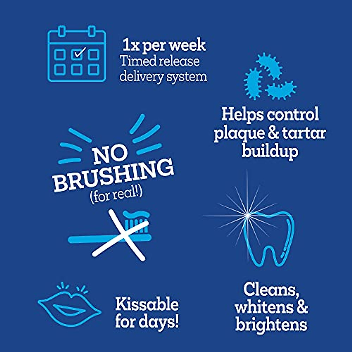 Vetality Brush Free Oral Gel for Dogs | Vet Formulated Dental Care with ProLong Technology | Cleans Teeth and Gums