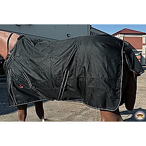 HILASON 1200D Turnout Light Winter Waterproof Rain Sheet Horse Sheet Black | Horse Sheet | Horse Turnout Sheet | Horse Sheets for Winter | Waterproof Turnout Sheets for Horses