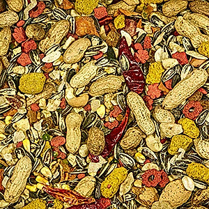 Kaytee Fiesta Big Bites - Macaw 10 lb