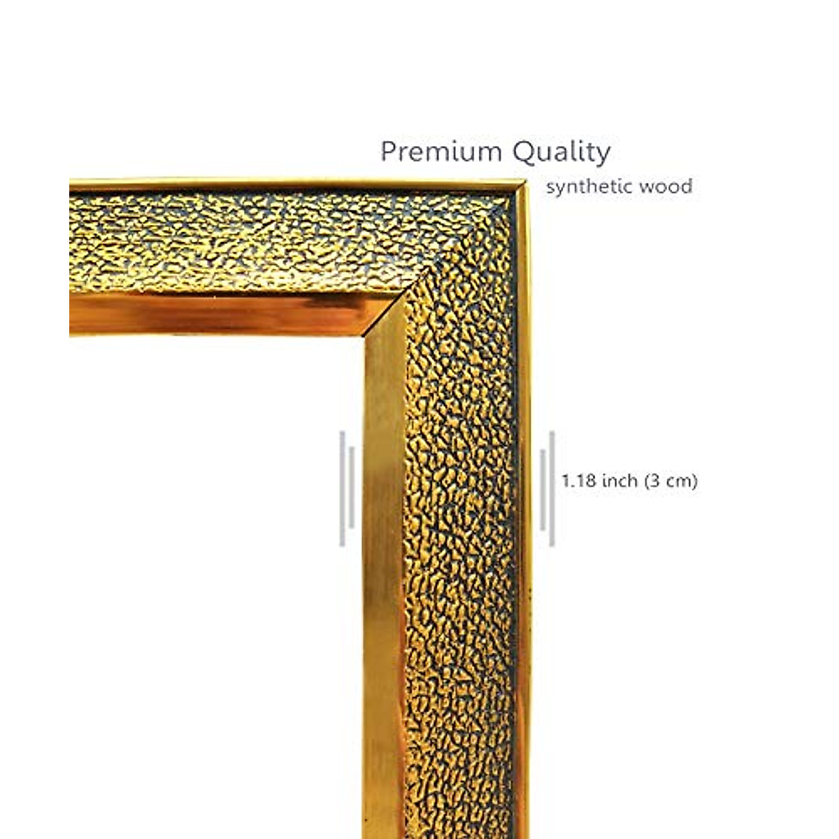 Koshtak baba ramdev pir Maharaj samadhi in hourse photo frame with Unbreakable Glass for wall hanging/gift/temple/puja room/home decor and Worship