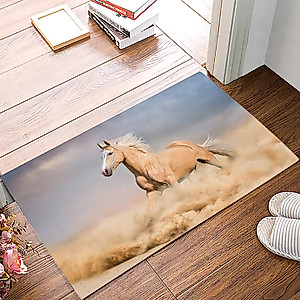 Fandim Fly Funny Indoor Doormat 20 x 31.5 Inches A Horse Running in The Desert Home and Office Decorative Entry Rug Garden/Kitchen/Bedroom Mat
