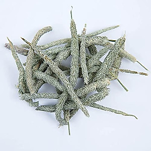 Small Pet Select - Timothy Hay Flower Tips, 10 Grams