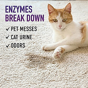 Hoover Paws & Claws Urine Eliminator Spray, 22 oz., 2 Pack, Fresh Scent, Pet Spot and Stain Remover for Carpet & Upholstery, Tackles Tough Pet Messes & Stains, Pair with Hoover Carpet or Spot Cleaner