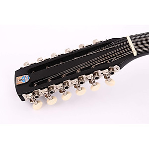 Professional Turkish Cumbus Jumbush Oud Black String Music Instrument