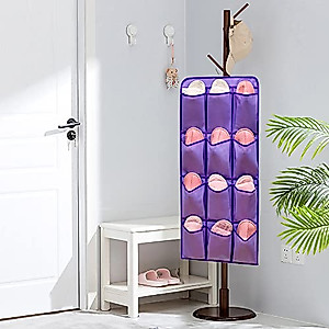 ANIZER Dual Sided Hanging Shoe Organizer for Closet with 24 Large Pockets Hanging Shoe Rack Holder with Rotating Hanger (PURPLE)