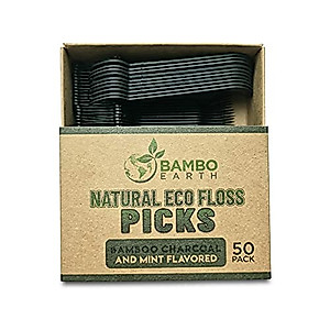 Natural Dental Floss Picks - Eco Friendly Cruelty Free & Vegan Tooth Flossers Pick Set with Biodegradable and Compostable BPA Free Handle & Zero Waste Packaging - 200 Pack (Bamboo Charcoal Flavored)