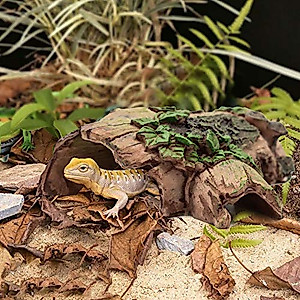 BWOGUE Reptile Habitat Decor Hideouts Log Hideaway Critter Cavern Bark Bends Resin Wood Decorations Hiding Place for Lizards Leopard Gecko Spiders Snakes Fish Shrimp Turtle