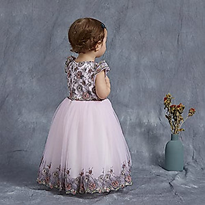 TENTIDE Baby Flower Grils Pink Dress Princess Pageant Rose Embroidery Layered Tulle Tutu Gown Dress 0-18M (Pink, 3-6 Months)