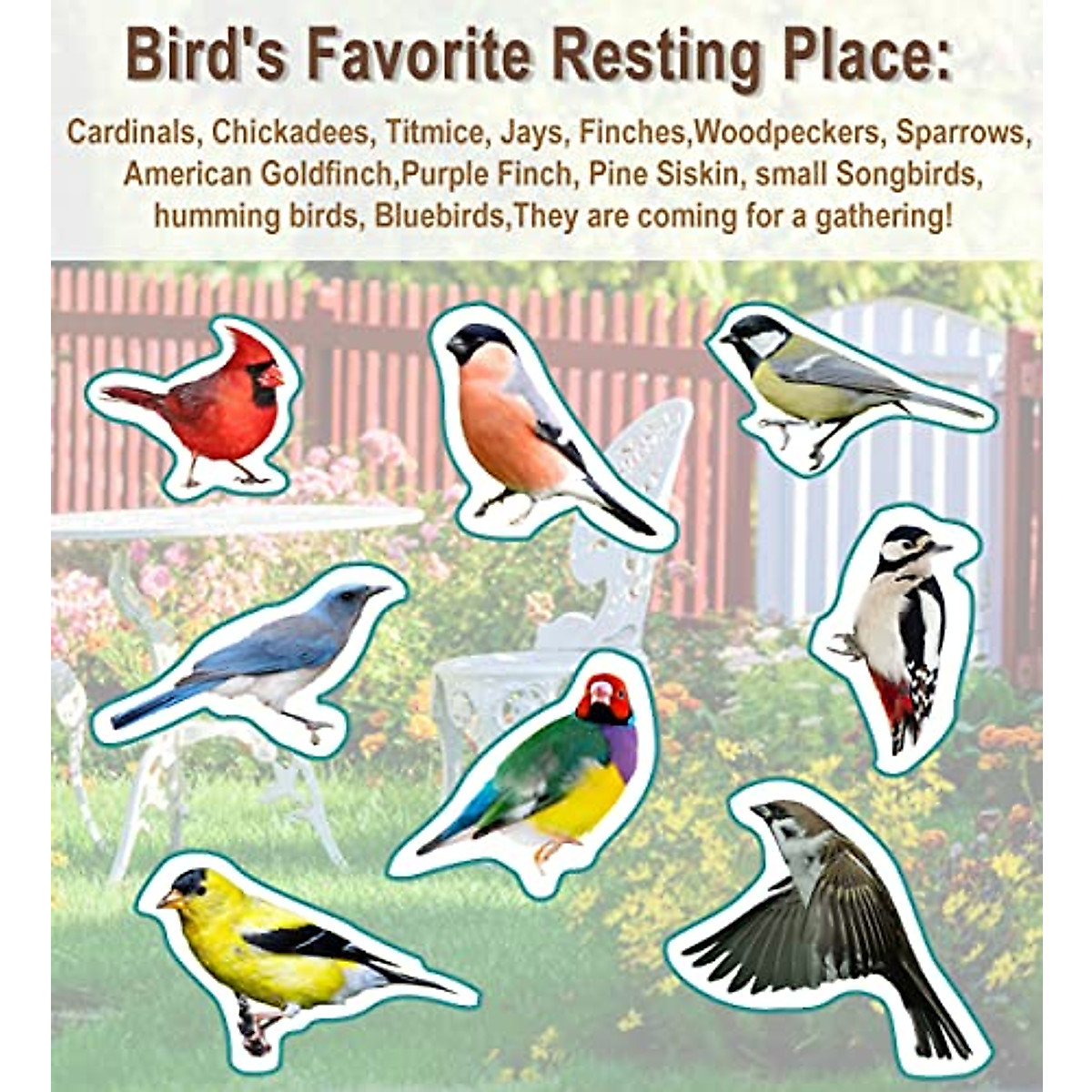 Garbuildman Upgraded 5-Prong Base Bird Bath with Metal Stake, Detachable Decoration Bowl Spa & Freestanding Birdfeeder for Outdoor Garden, Oval Style, Green