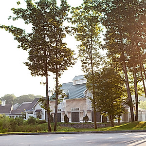 Stonewall Kitchen Roasted Garlic Onion Jam, 13 Ounces