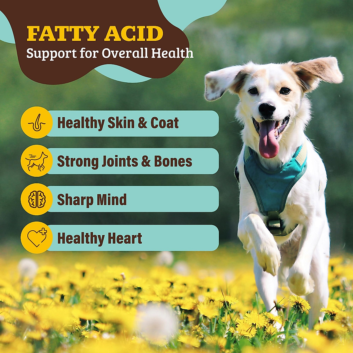 Natural Dog Company Senior Dog Supplements: Hip & Joint Chews, Coldwater Atlantic Salmon Oil & Super Seeds Granules for Joint Care, Immune Health & Aging Dog Support